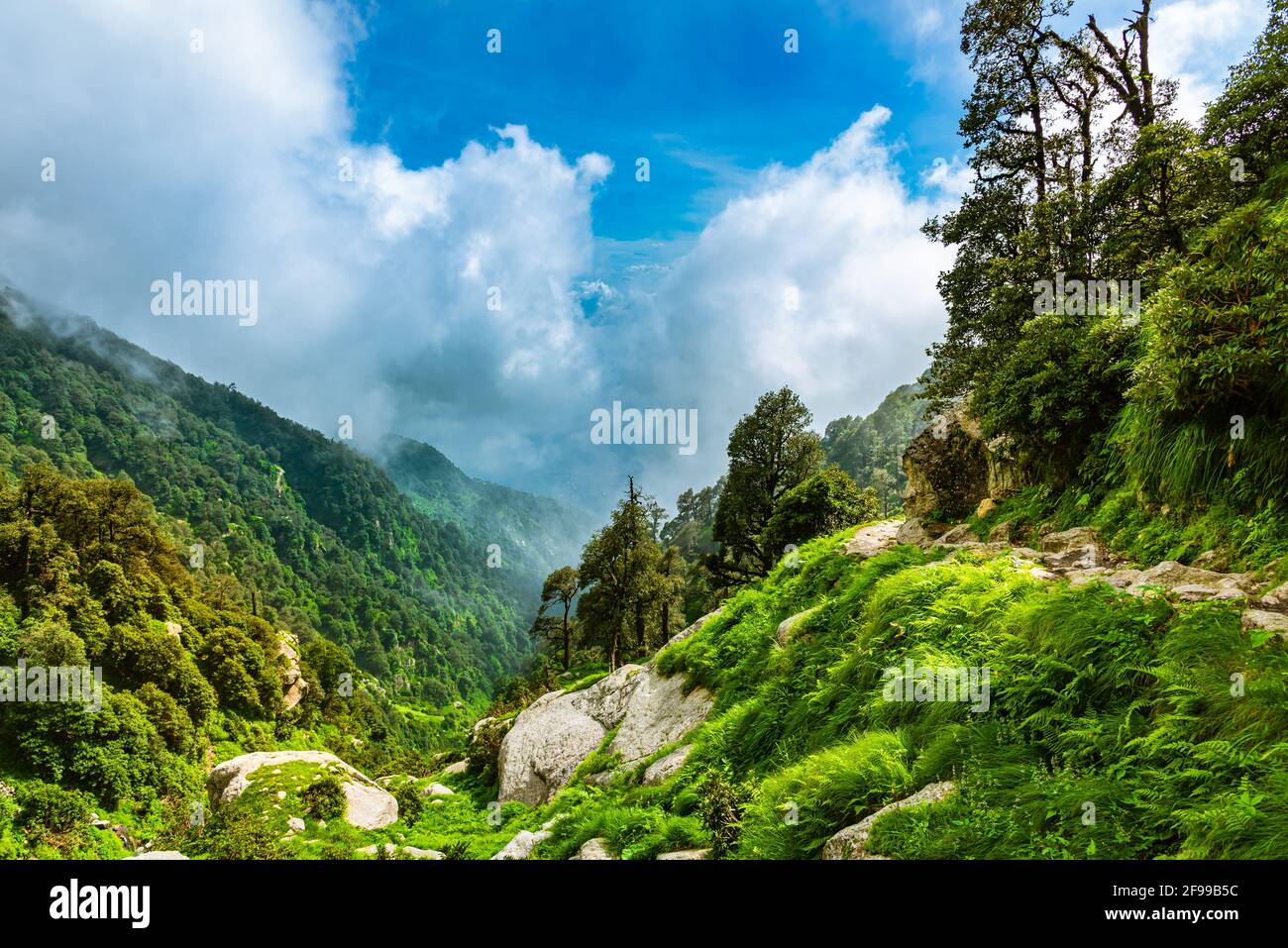 Triund top hi-res stock photography and images - Alamy