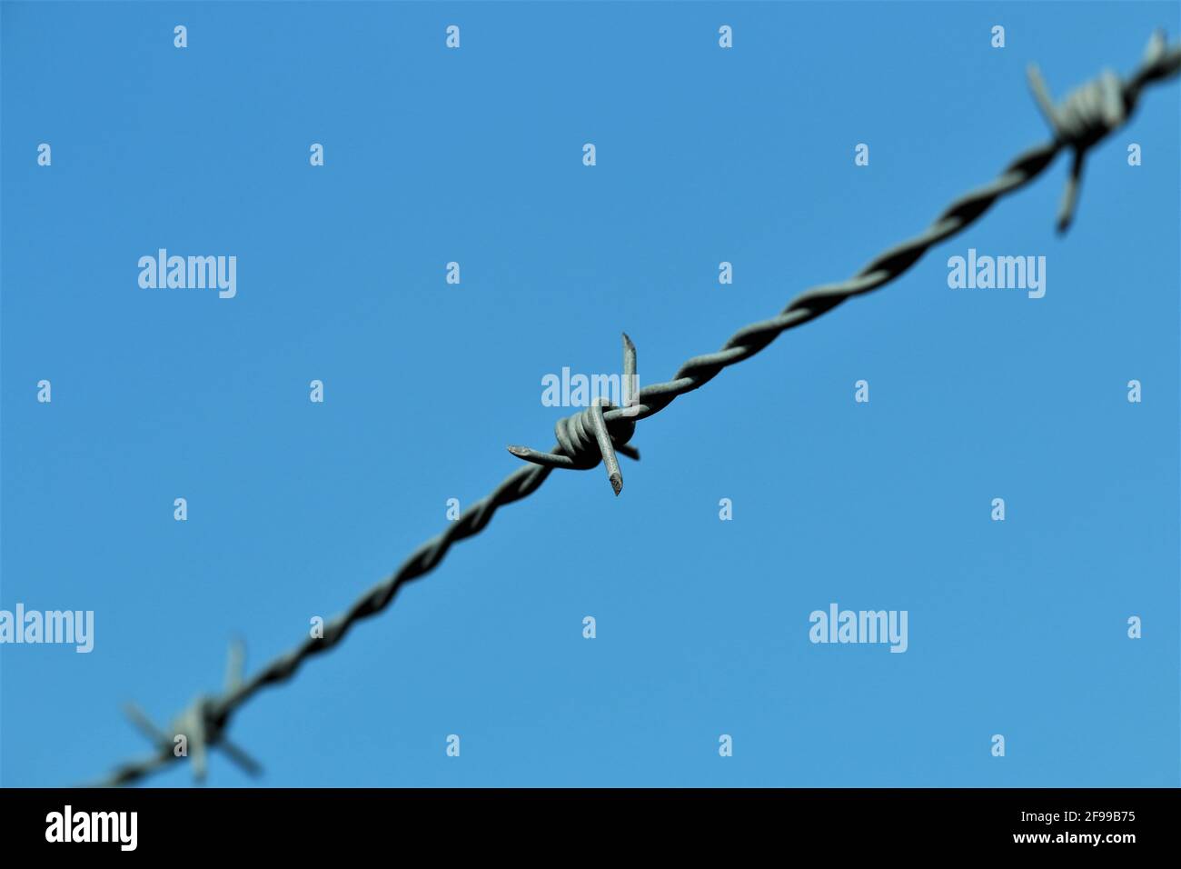 Barbed wire in front of blue sky Stock Photo - Alamy