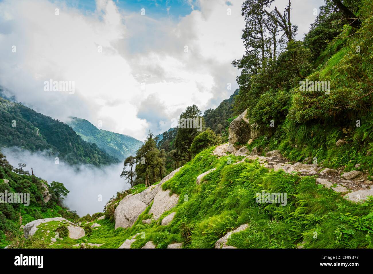 View enroute to Triund hiking trail through lush green landscape at ...