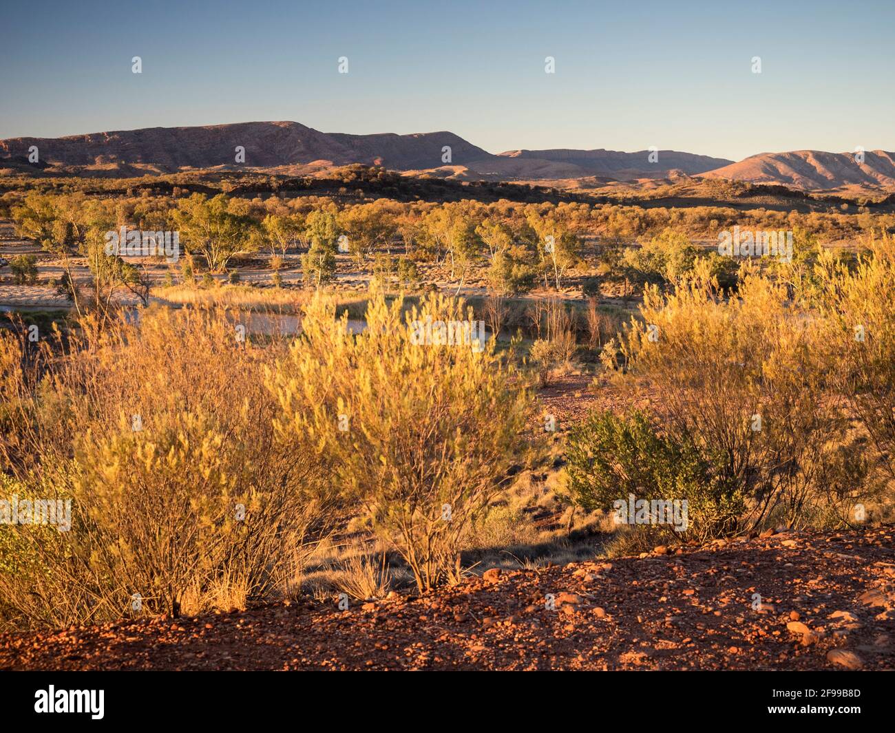 Mulga habitat hi-res stock photography and images - Alamy
