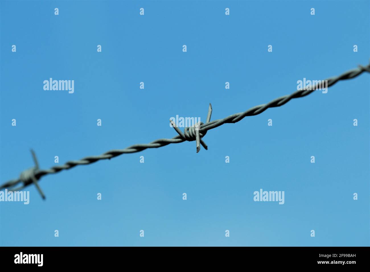 Twisted barbed wire hi-res stock photography and images - Alamy