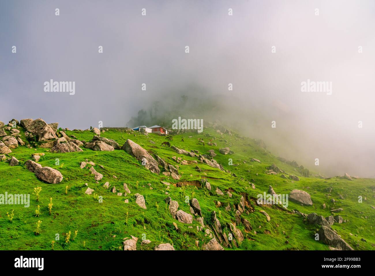 Triund trek hi-res stock photography and images - Alamy