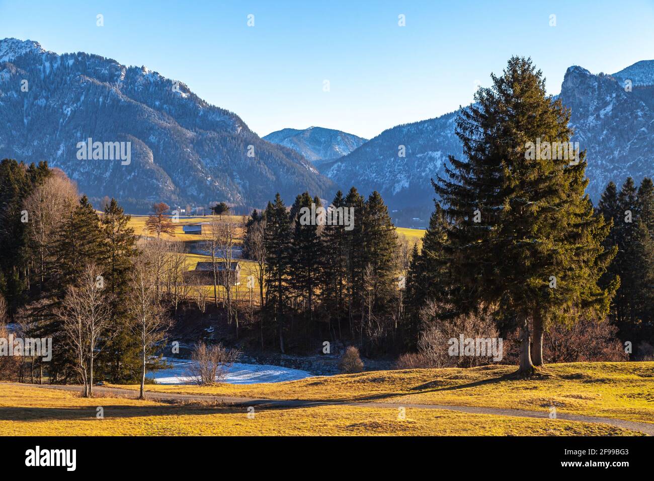 Sunny alpine meadows, barns, trees and mountains of the Ammergau Alps ...