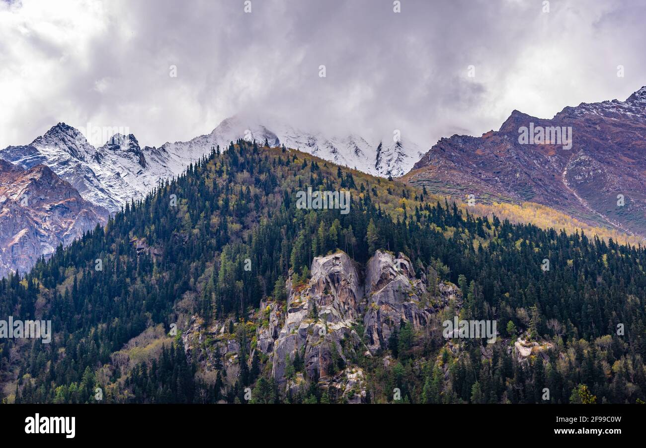 Landscape of Himalayas with Vegetation transition from Montane level to ...