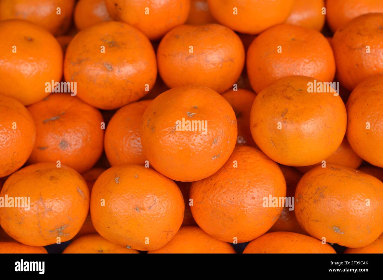 A collection of ripe sunkist fruits that are on display at the market ...