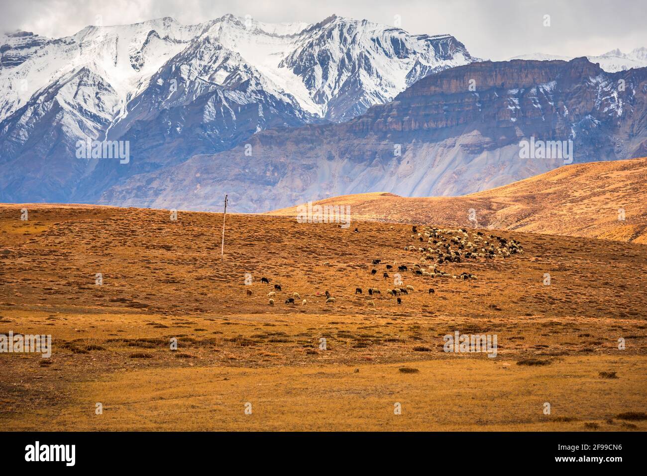 Panoramic Landscape of Spiti valley with snow capped mountains in ...