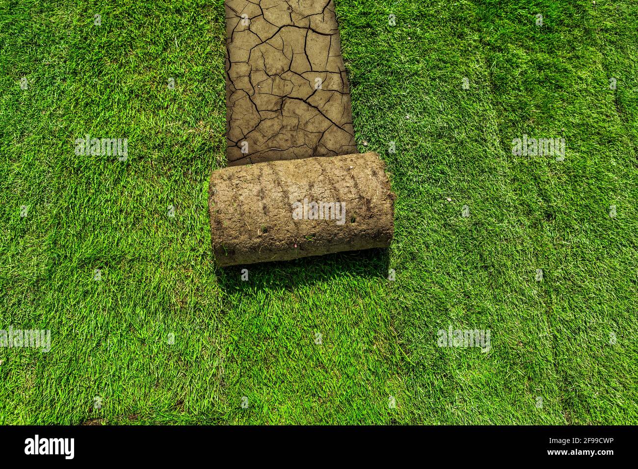 Turf lawns hi-res stock photography and images - Alamy