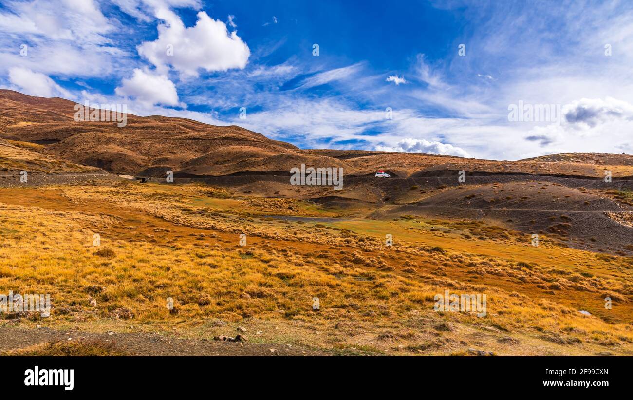 Bunchgrass hi-res stock photography and images - Alamy