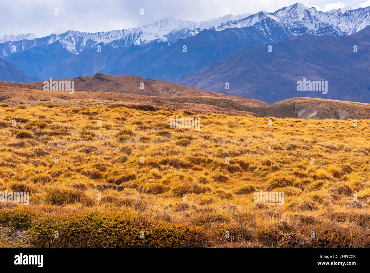 Cold desert barren landscape of Spiti mountain valley with sparse grass ...