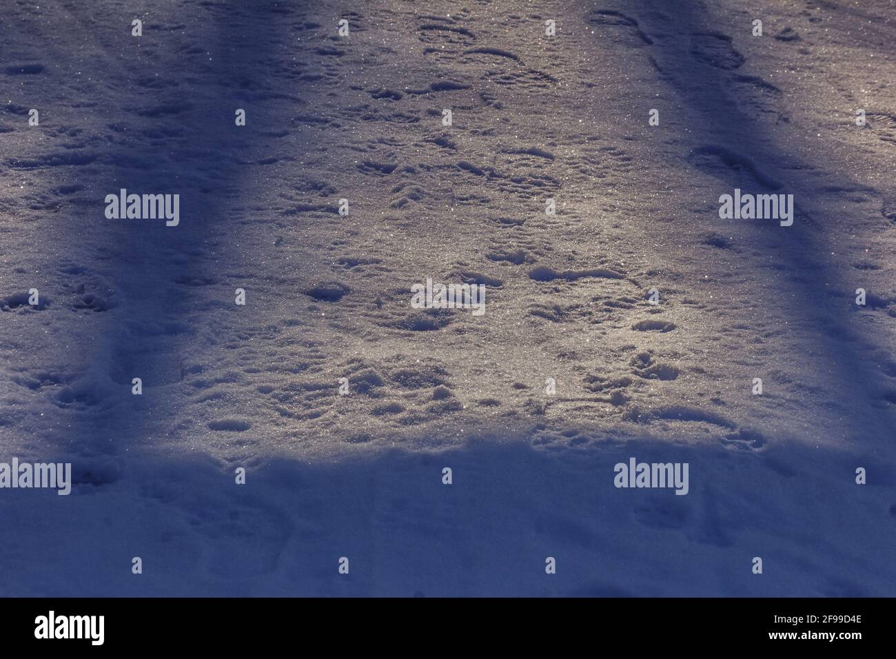 Real shadows hi-res stock photography and images - Alamy