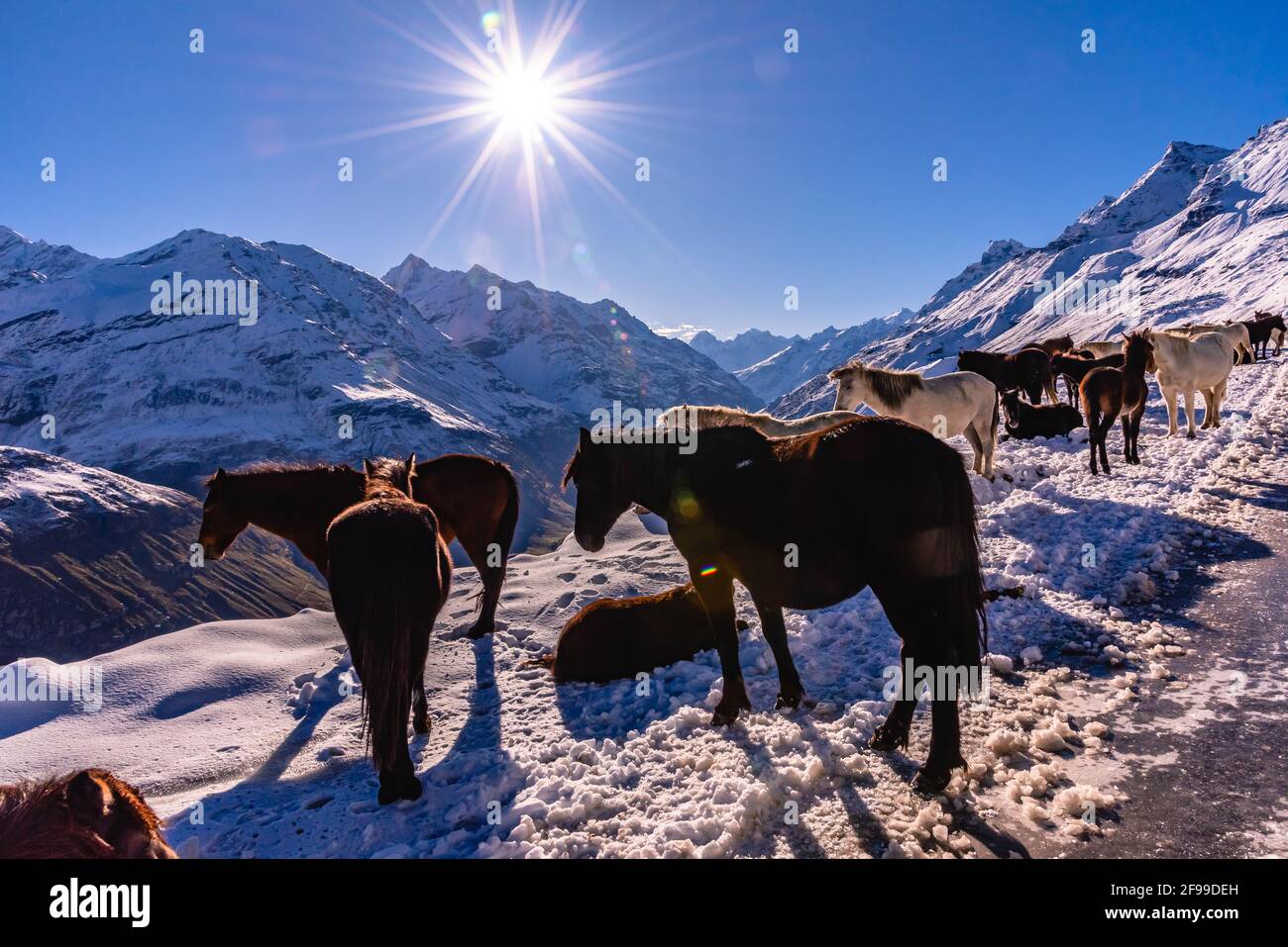 Mesmerizing view en-route to snow covered Rohtang pass of Pir Panjal ...