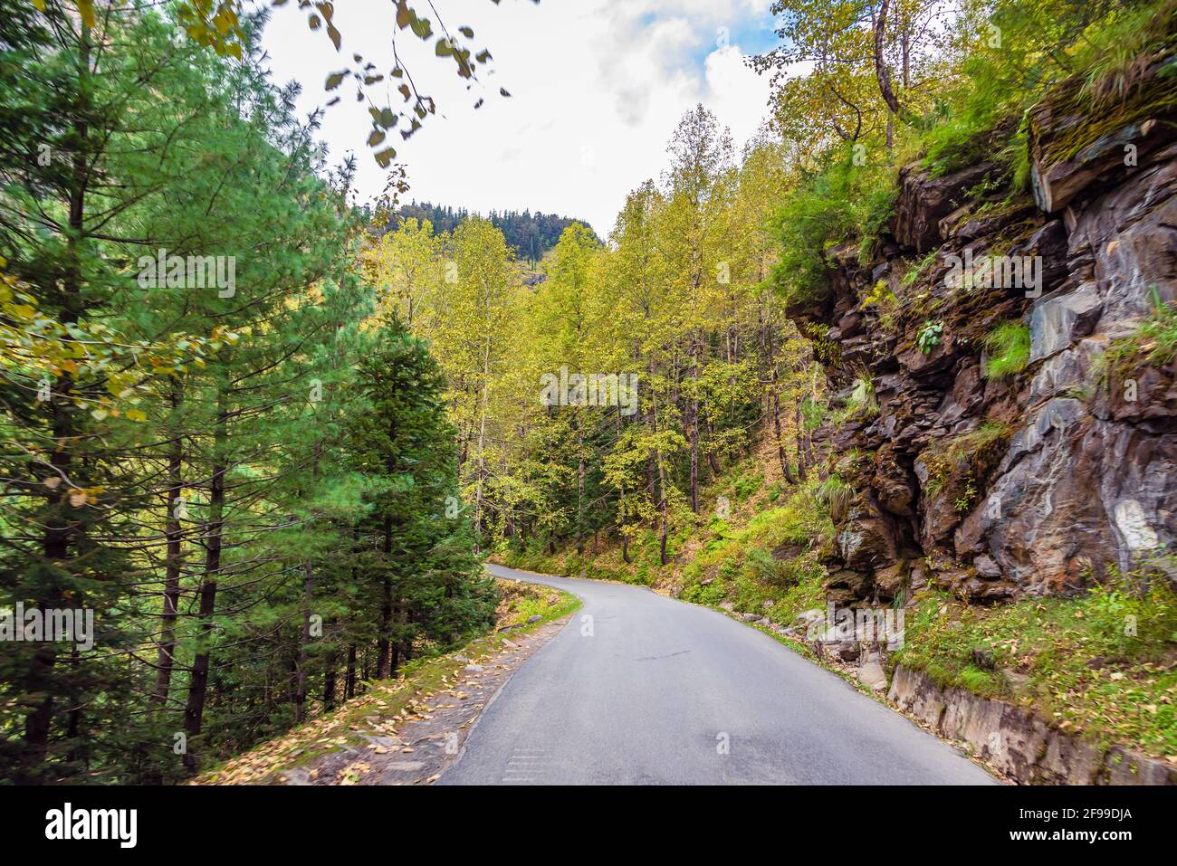 Beautiful autumn view enroute curvy mountain road through forest of ...