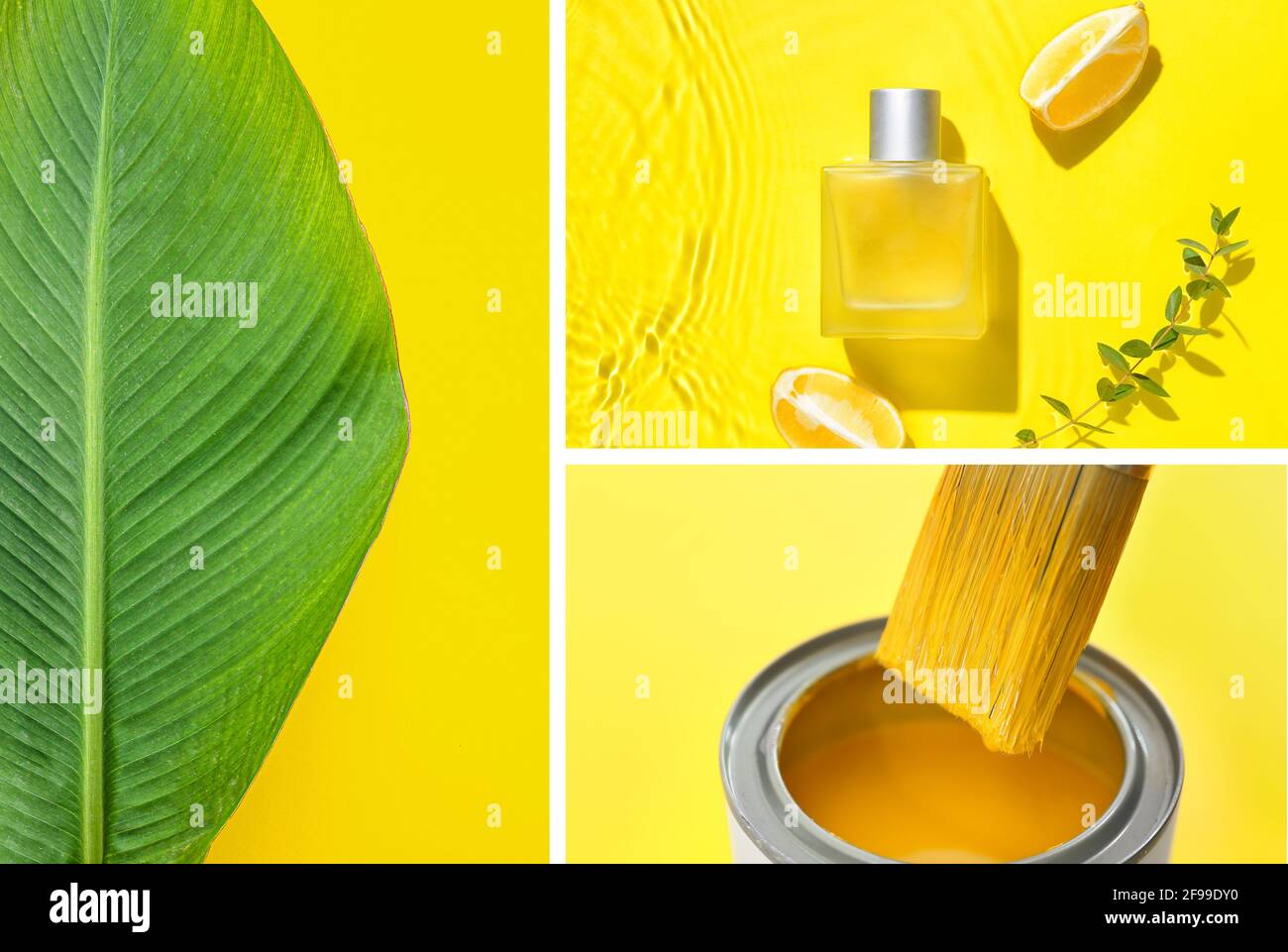 Collage of photos in yellow and green colors Stock Photo - Alamy