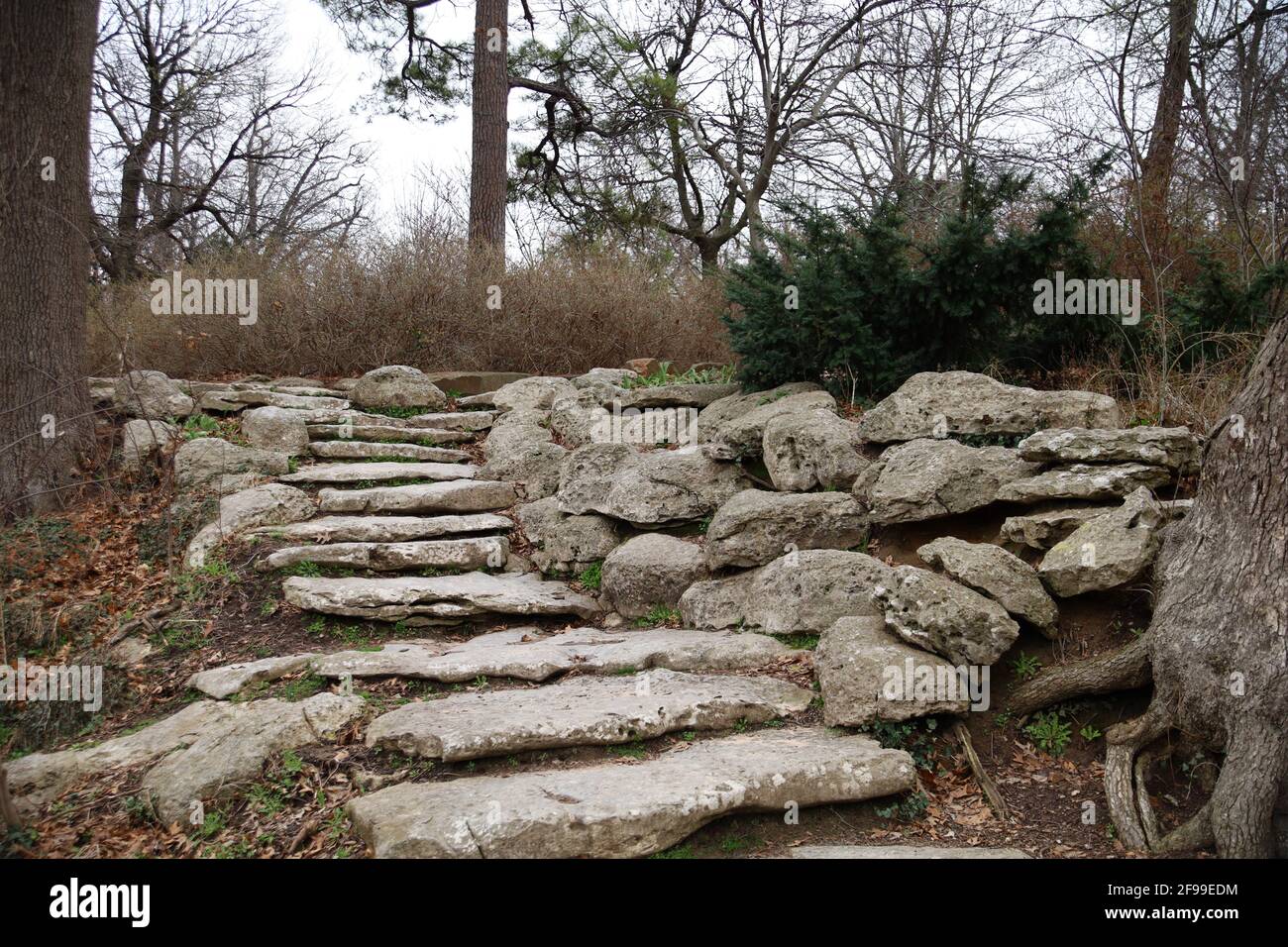 Rocky pathway surrounded by dry trees in a Woodward park Stock Photo ...