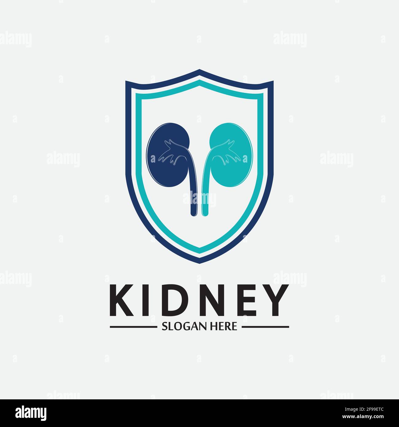 Kidney Shield Logo Template Design Vector, Emblem, Design Concept ...