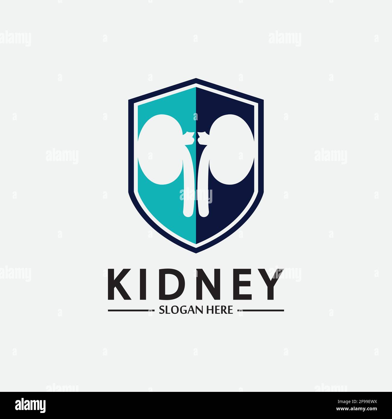 Kidney Shield Logo Template Design Vector, Emblem, Design Concept ...