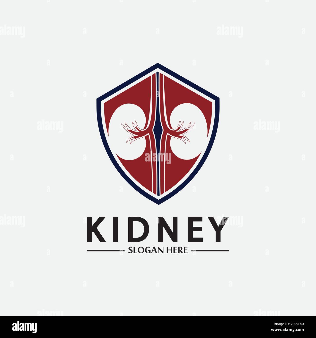 Kidney Shield Logo Template Design Vector, Emblem, Design Concept ...