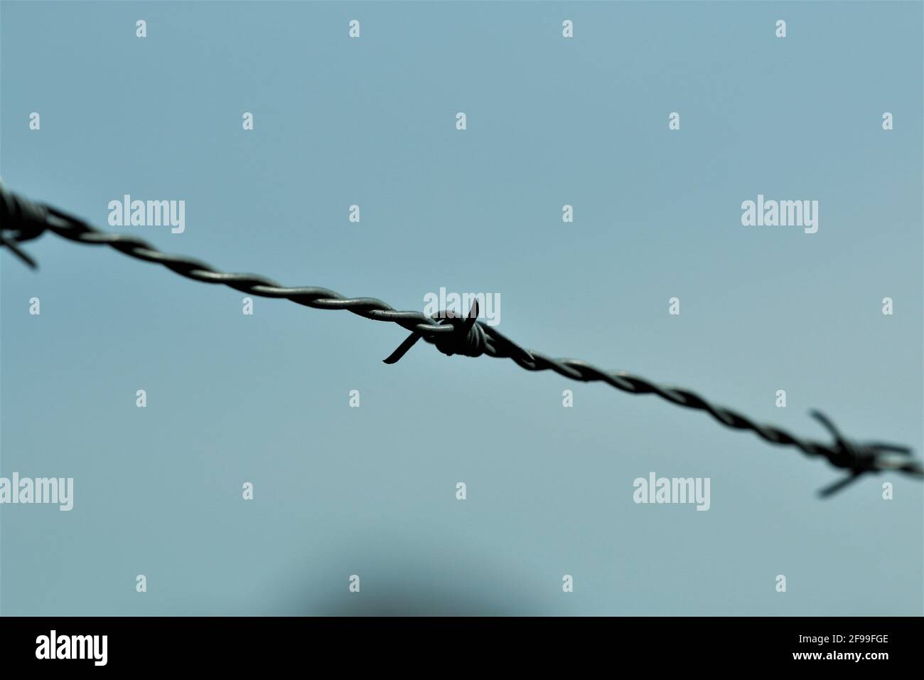 Barbed wire in front of blue sky Stock Photo - Alamy