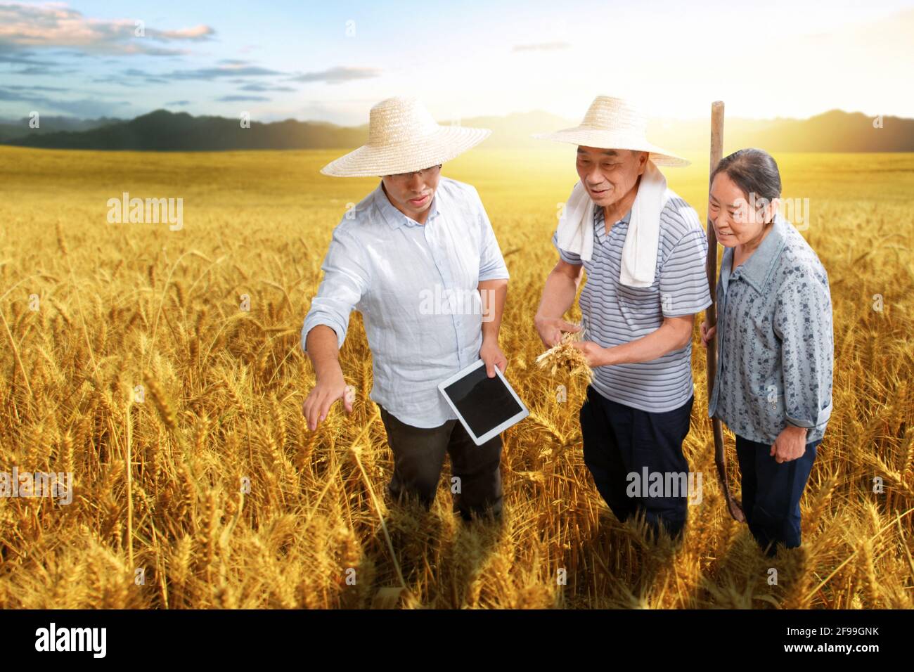 Communication technology researchers and farmers Stock Photo - Alamy