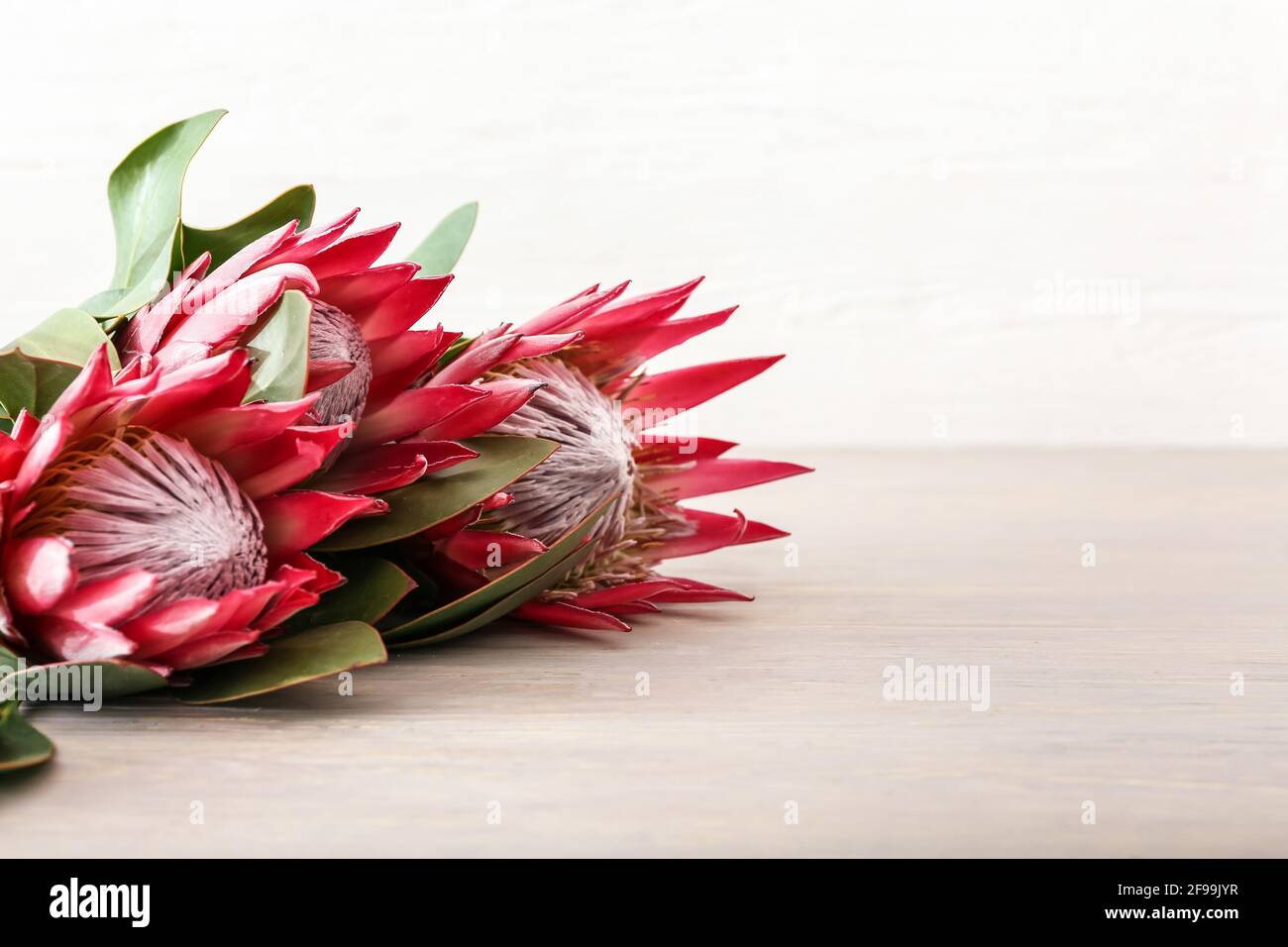 Beautiful protea flowers on light background, closeup Stock Photo - Alamy