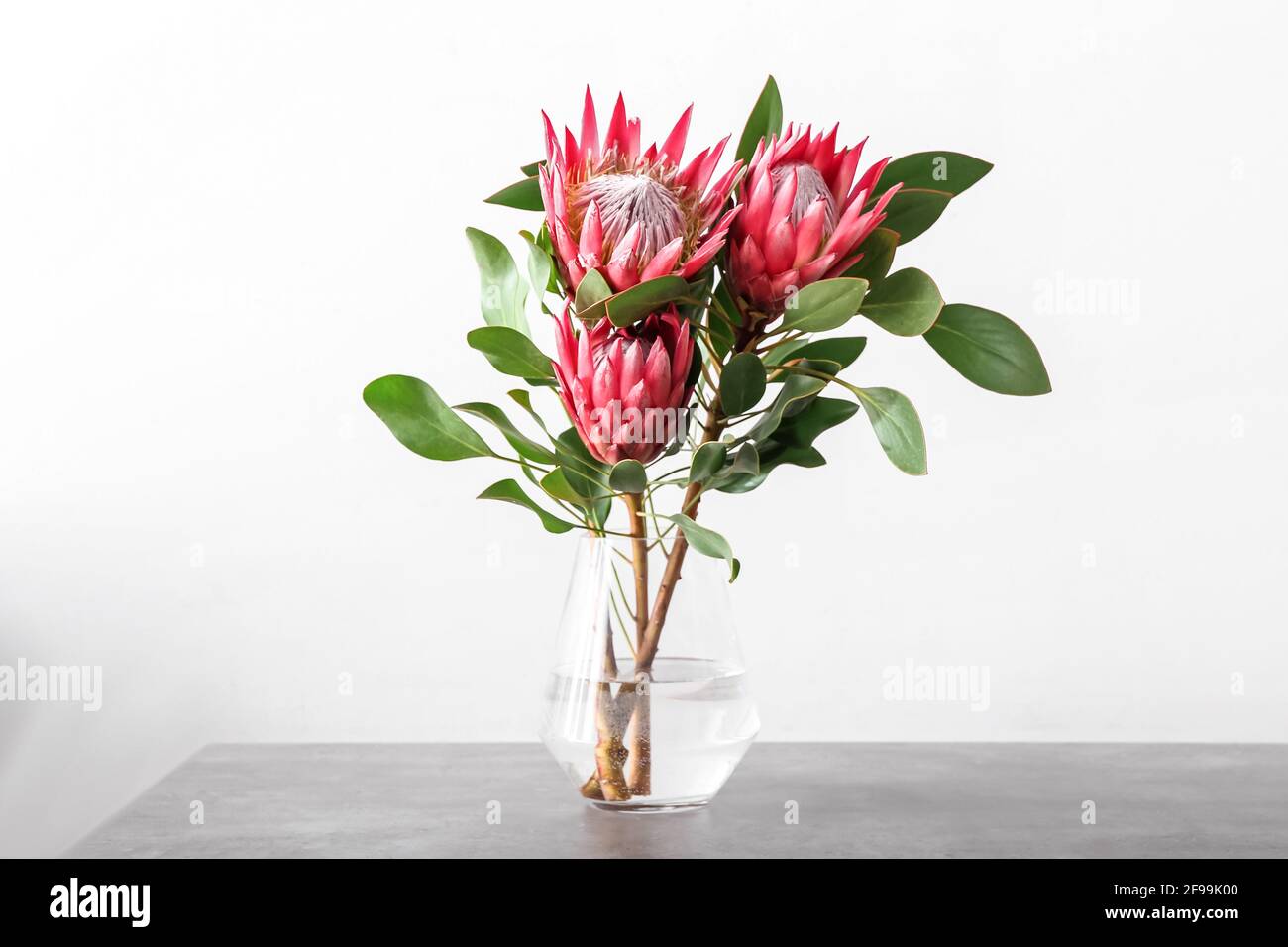Vase with beautiful protea flowers on light background Stock Photo - Alamy