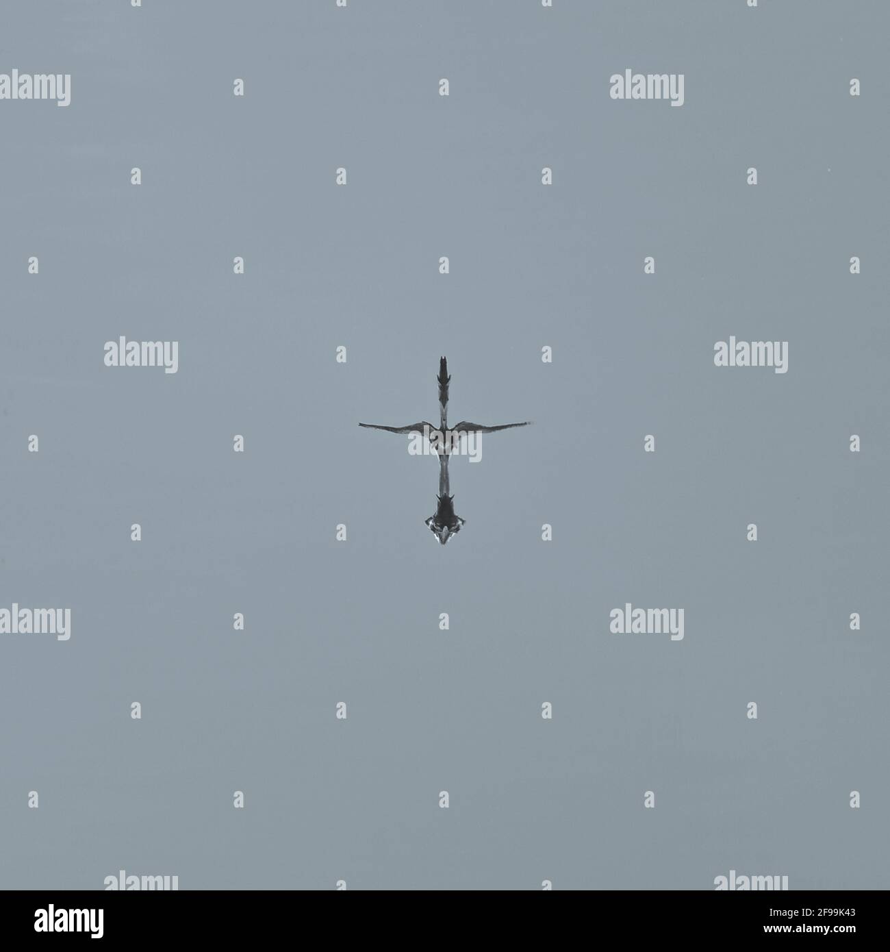 Log in the sea with long exposure forming a cross - perfect for ...