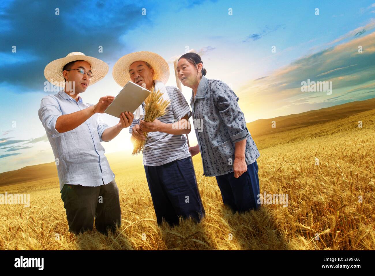 Communication technology researchers and farmers Stock Photo - Alamy