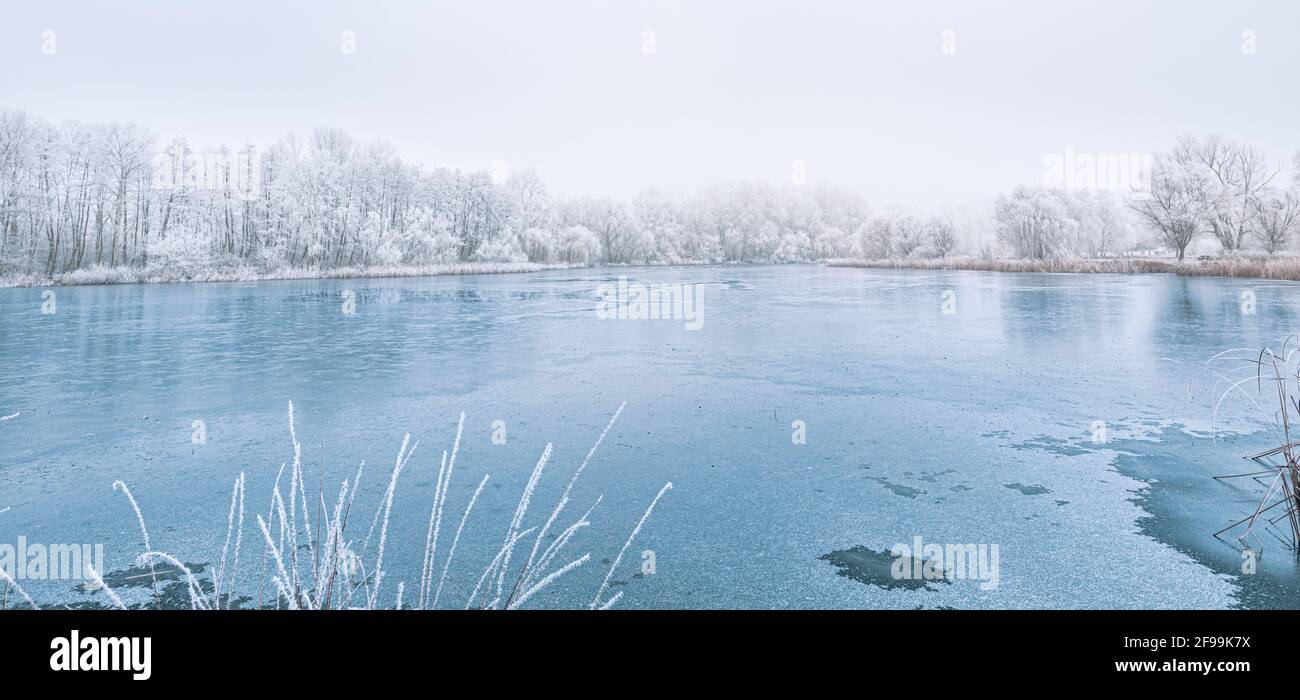 Forest lake in snowfall. Relaxing panoramic winter landscape of a ...