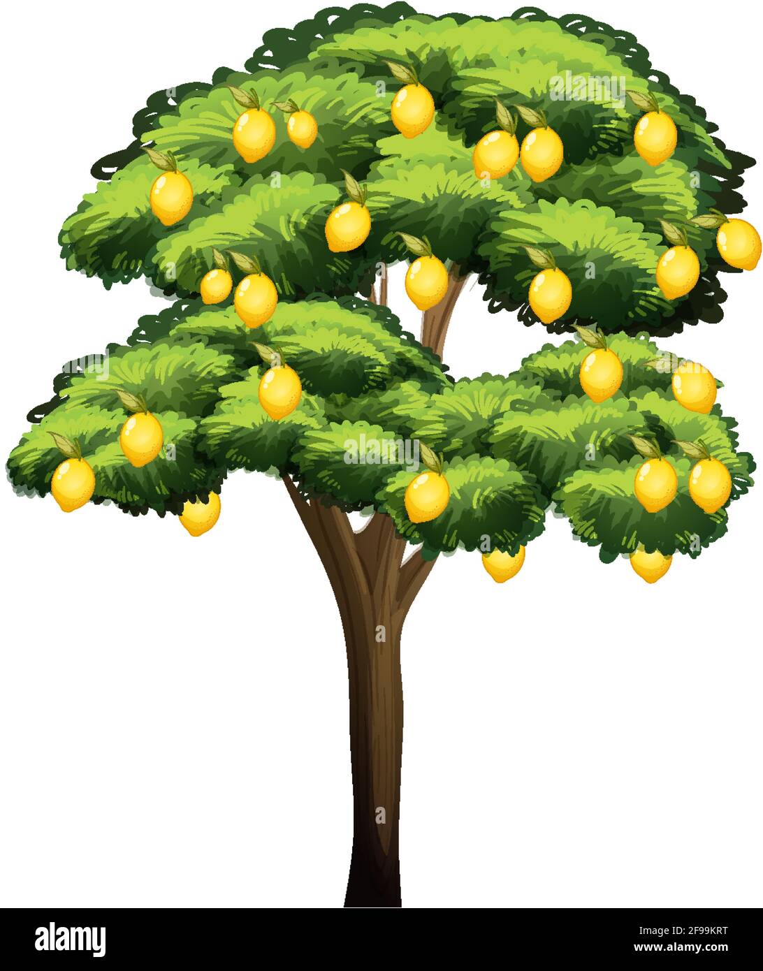 Lemon tree isolated on white background illustration Stock Vector Image ...