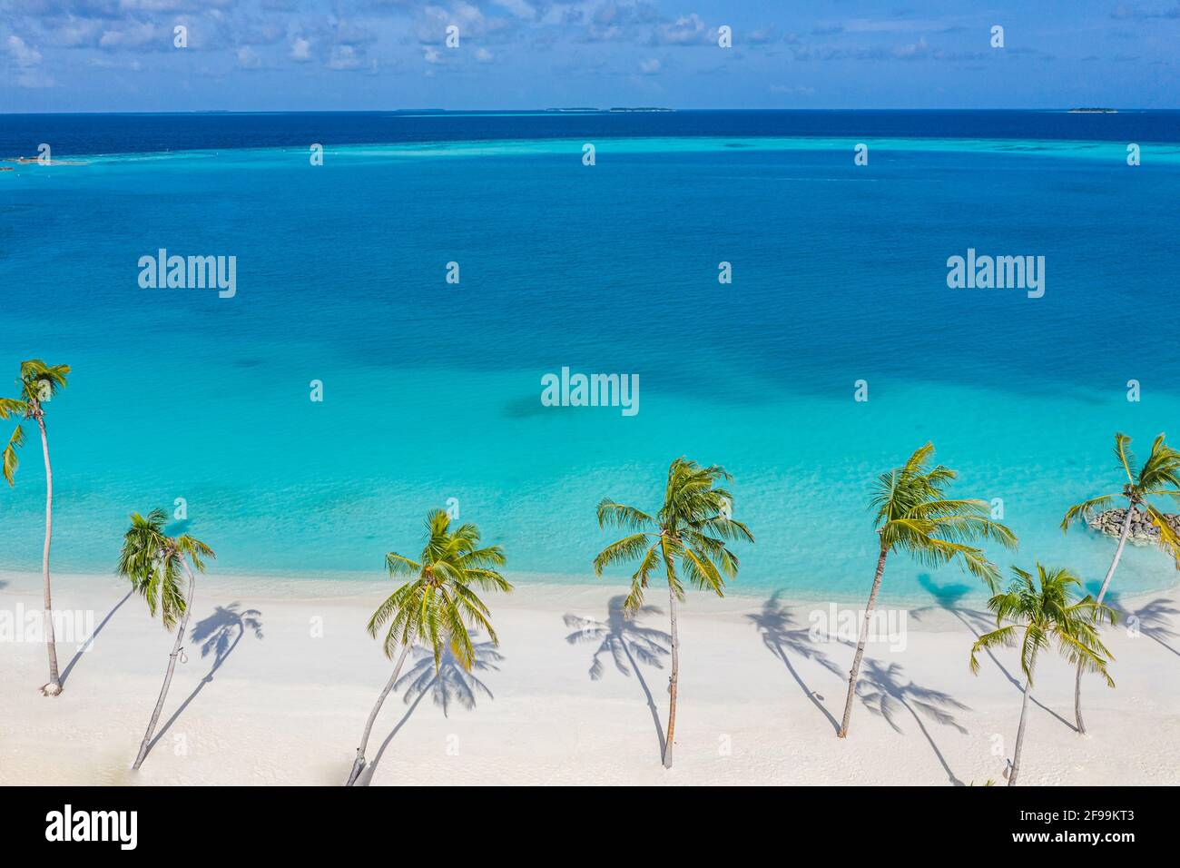 Aerial paradise scenery. Tropical aerial landscape, seascape with palm ...
