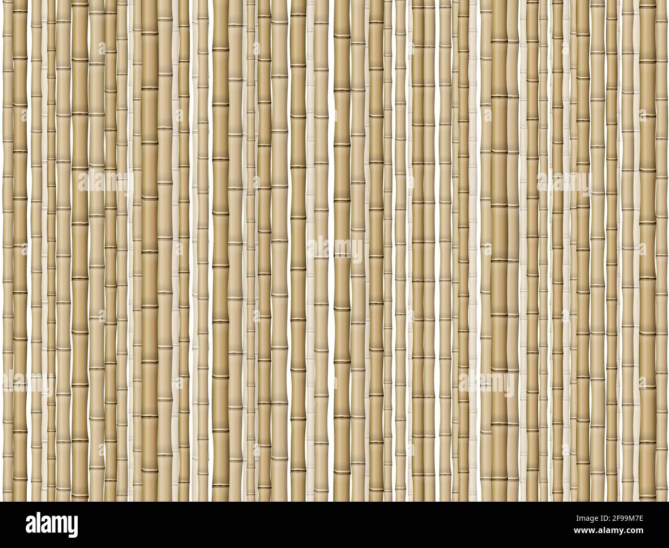Brown bamboo stick pattern background. Vector illustration Stock Photo ...