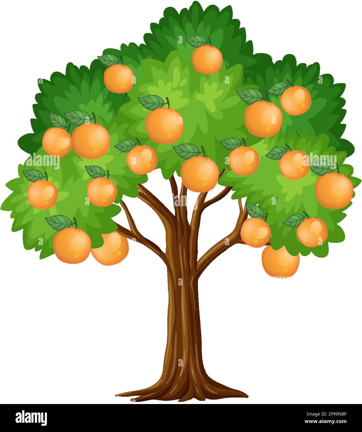 Orange tree isolated on white background illustration Stock Vector ...