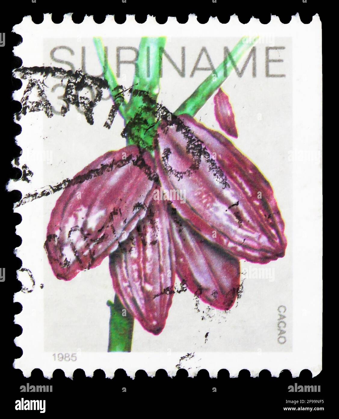 Suriname postage stamp hi-res stock photography and images - Alamy