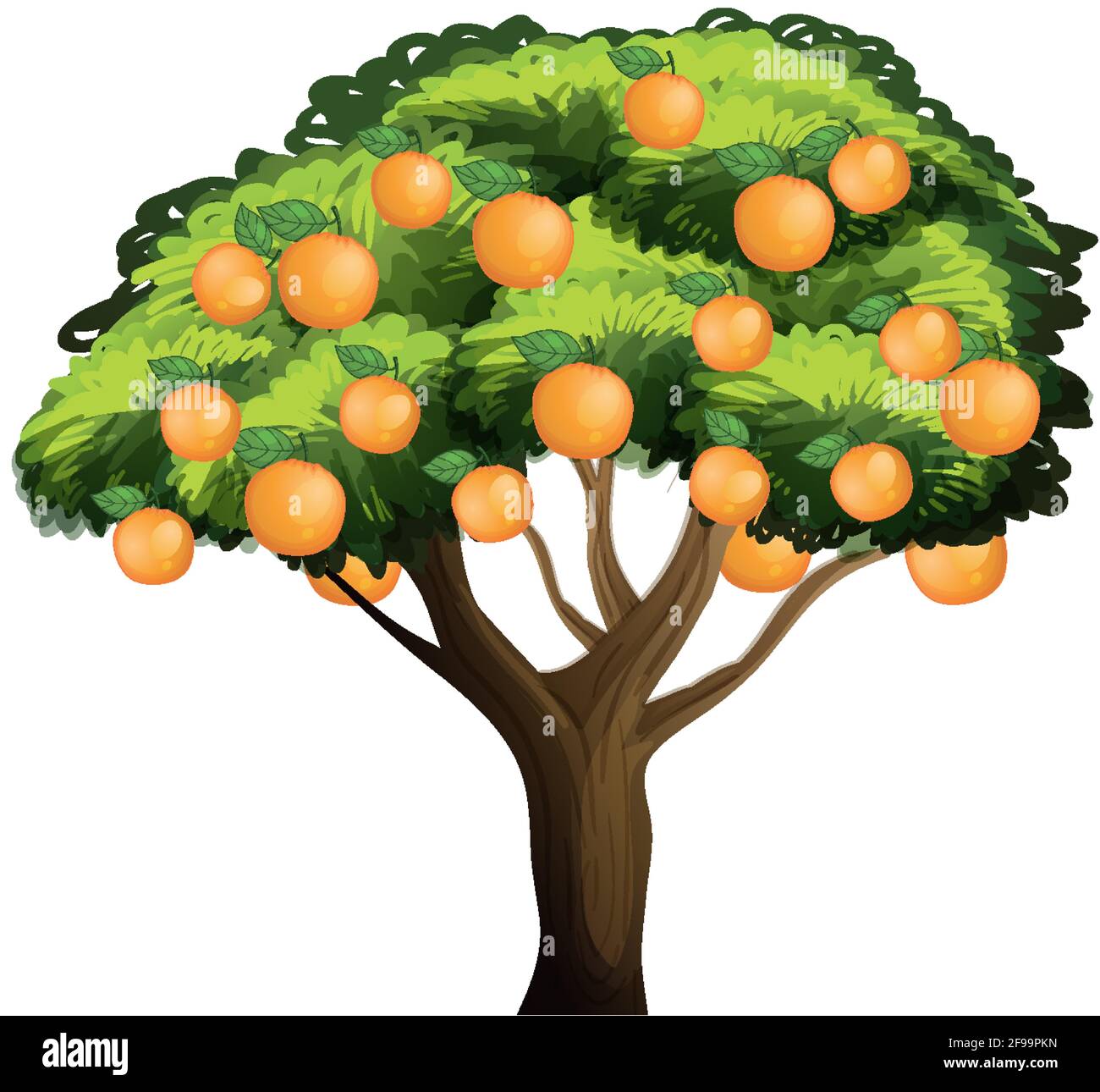 Orange tree isolated on white background illustration Stock Vector ...