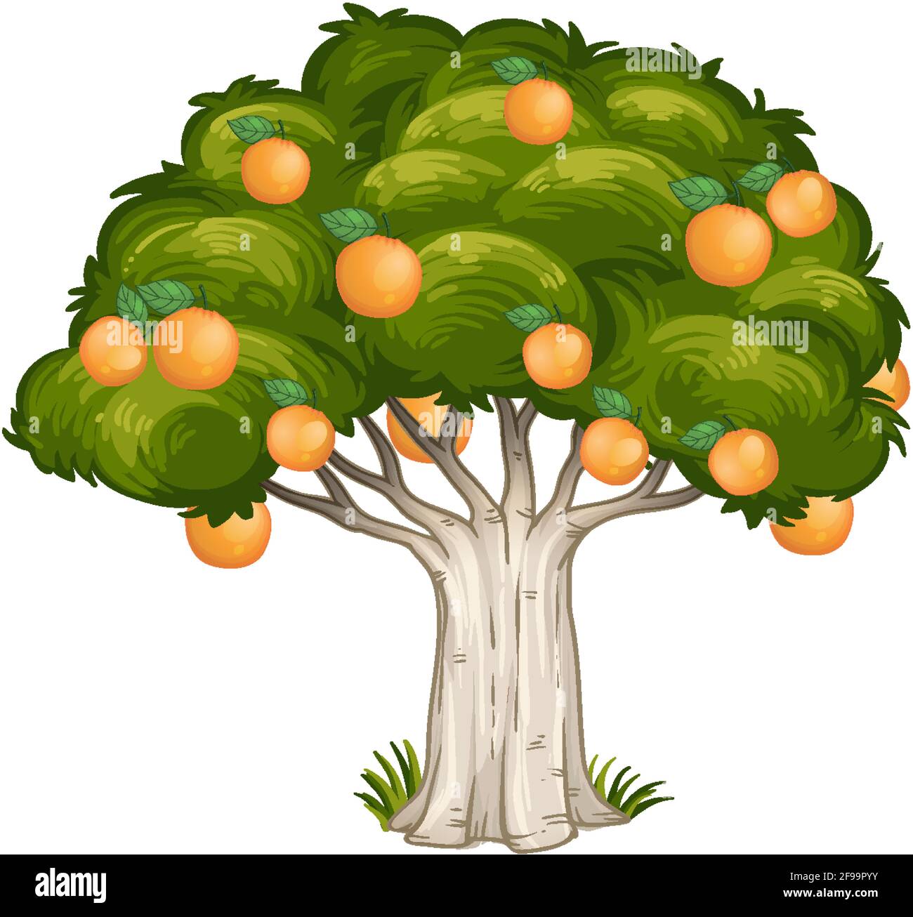 Orange tree isolated on white background illustration Stock Vector ...