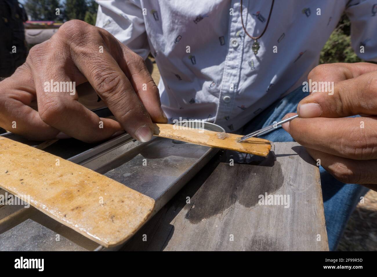 Man preparing kambo amazon frog poison medicine for body detox Stock ...