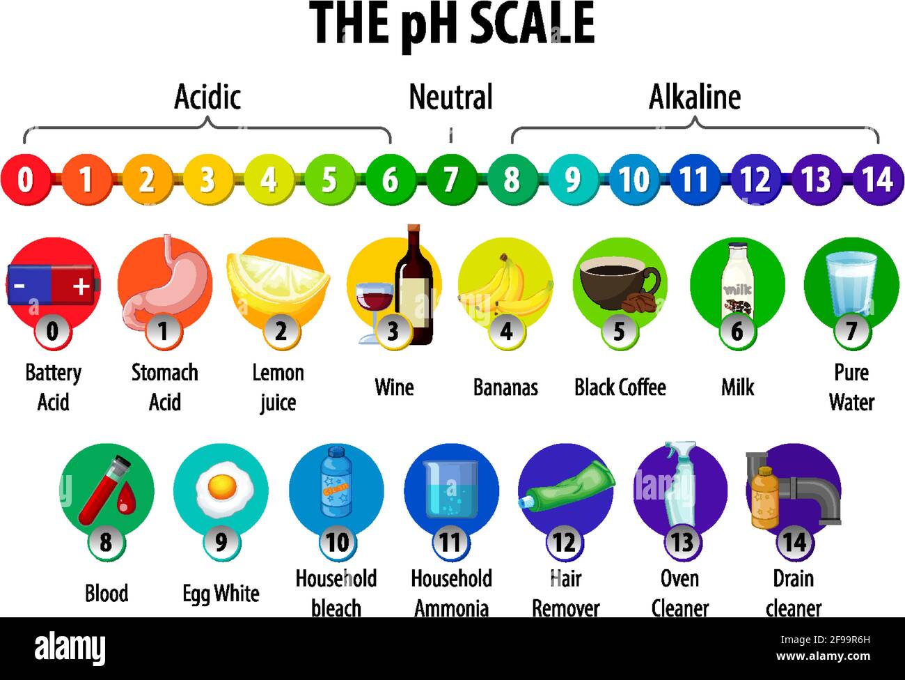 The pH Scale diagram on white background illustration Stock Vector ...