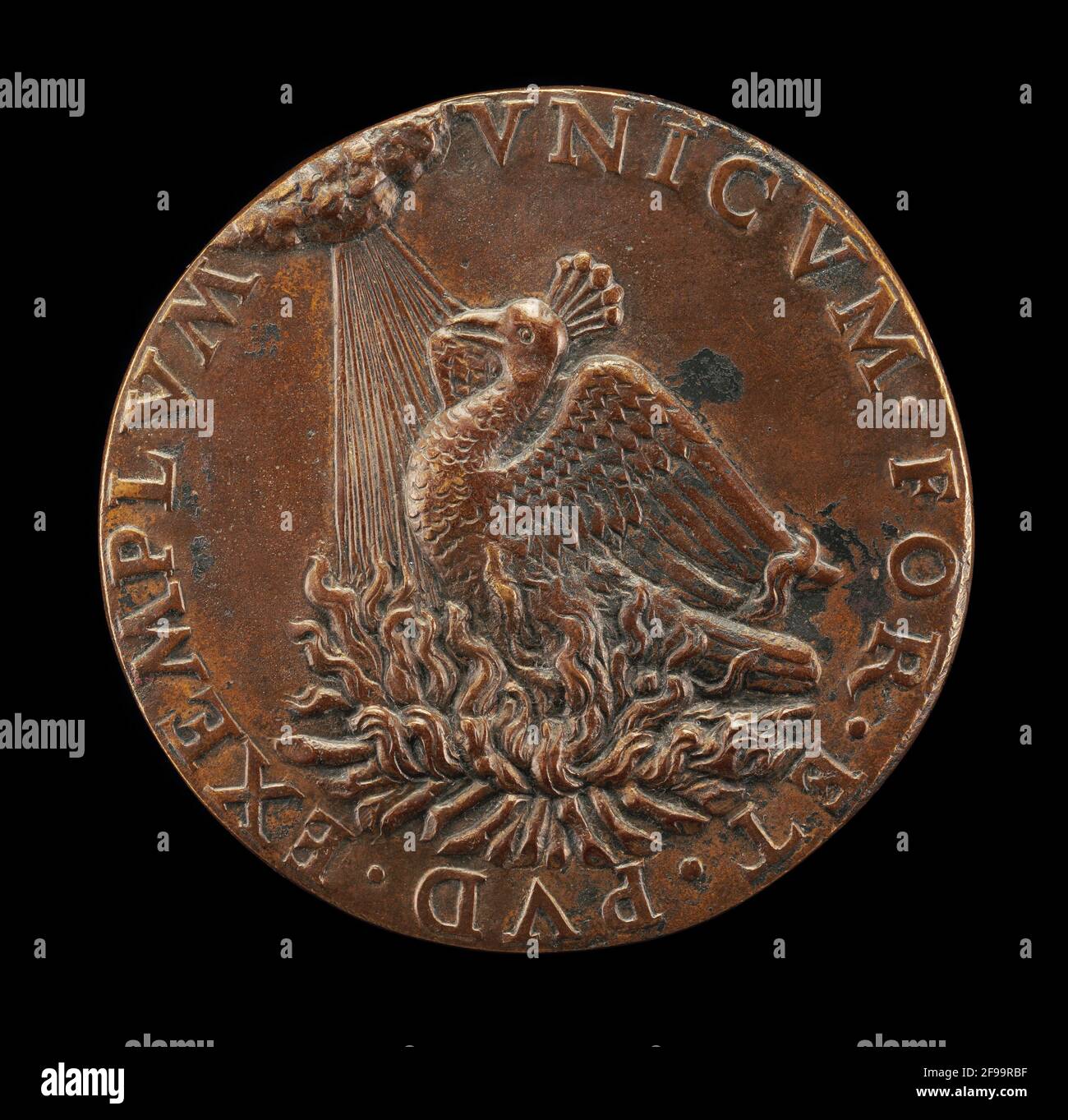 Phoenix on a pyre looking at the sun hi-res stock photography and ...