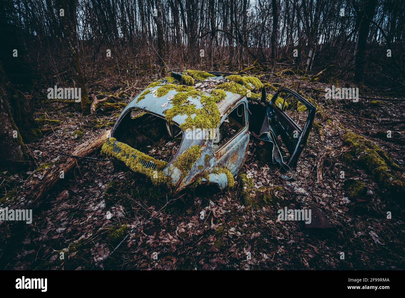 Old car, car cemetery, scrap metal, forest, Baden-Wuerttemberg, Germany ...