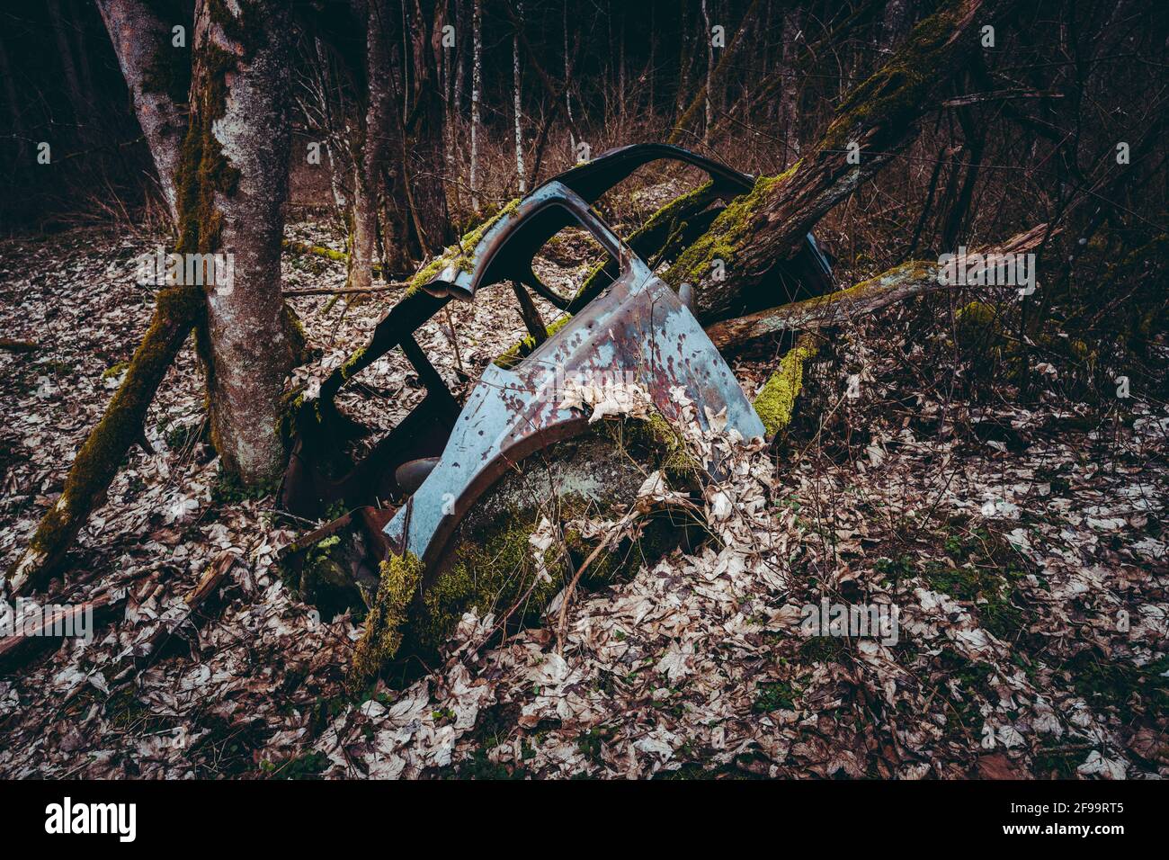 Old car, car cemetery, scrap metal, forest, Baden-Wuerttemberg, Germany ...