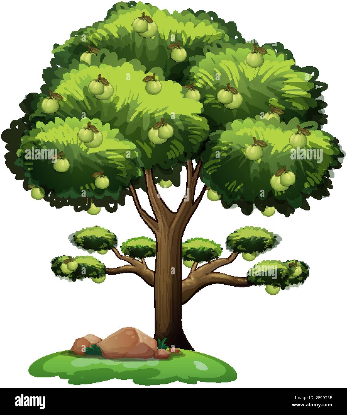 Guava fruit tree in cartoon style isolated on white background ...