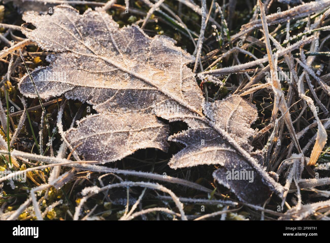 Volatile ice hi-res stock photography and images - Alamy