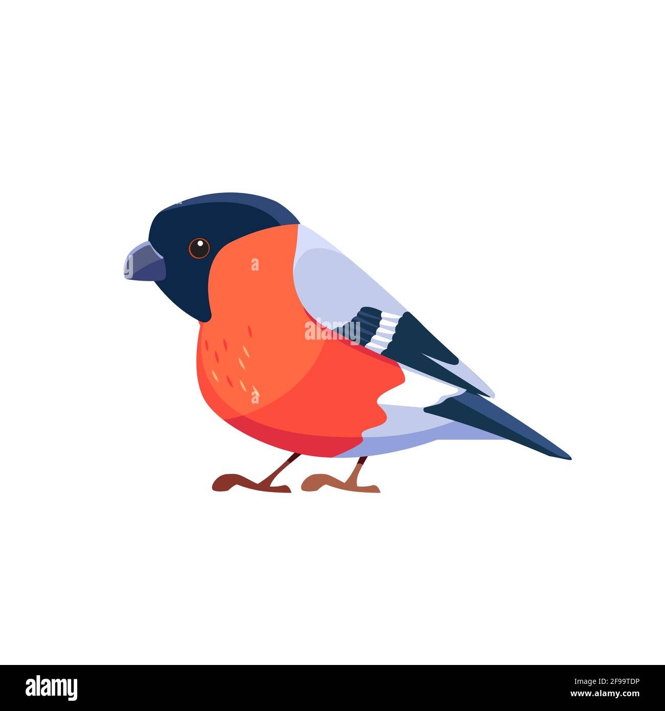 Bird Cartoon Characters Names
