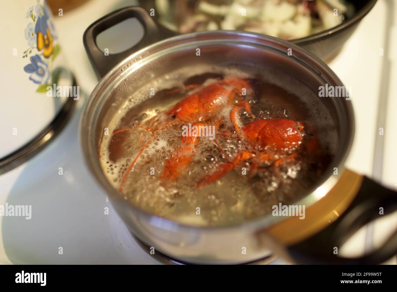 Cooking of crawfish on a kitchen at home Stock Photo - Alamy