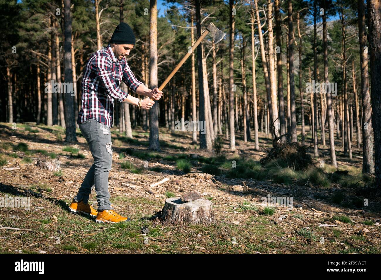 Spanish lumberjack man chopping wood with an ax in the forest Stock ...