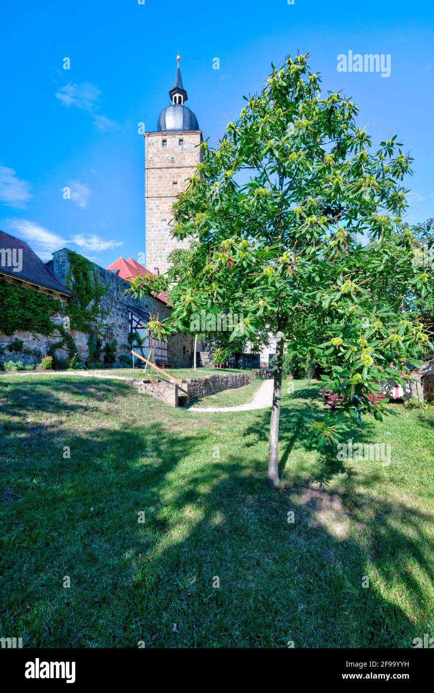 Gray tower, gate tower, landmark, city wall, city fortifications, green ...