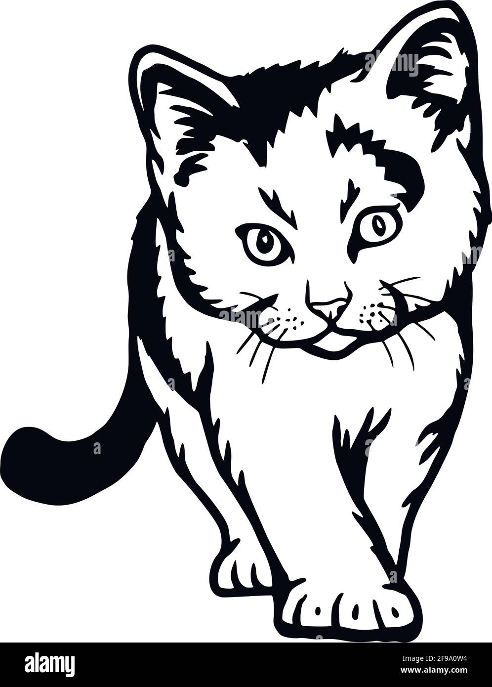 Kitten looking frame Cut Out Stock Images & Pictures - Alamy