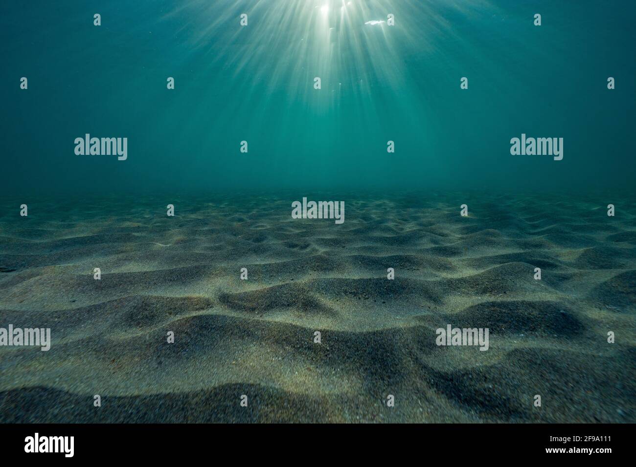 Sun rays pass through the water column and bounce off the sandy seabed ...