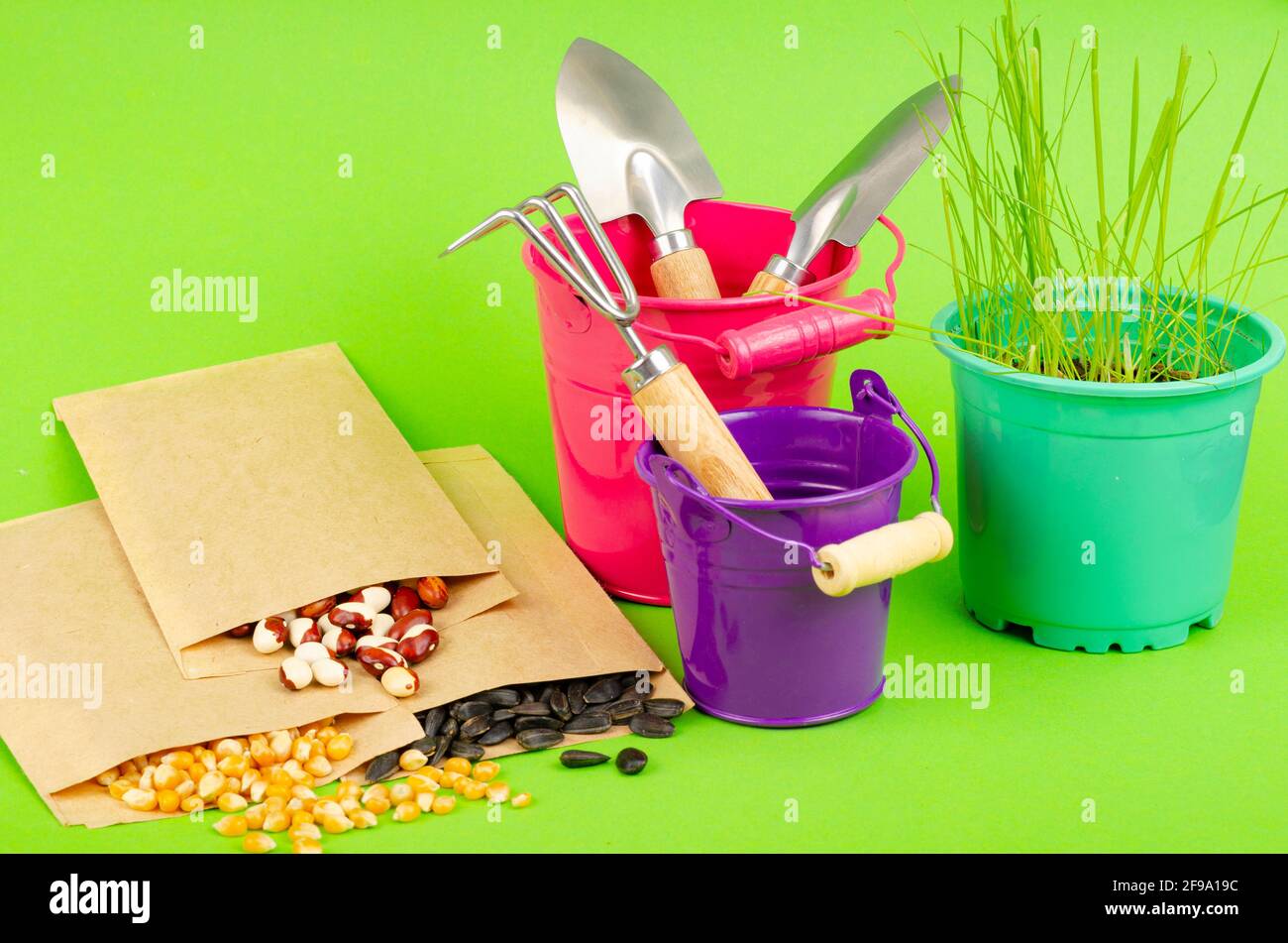 Gardening tools on green background. Gardening concept composition ...