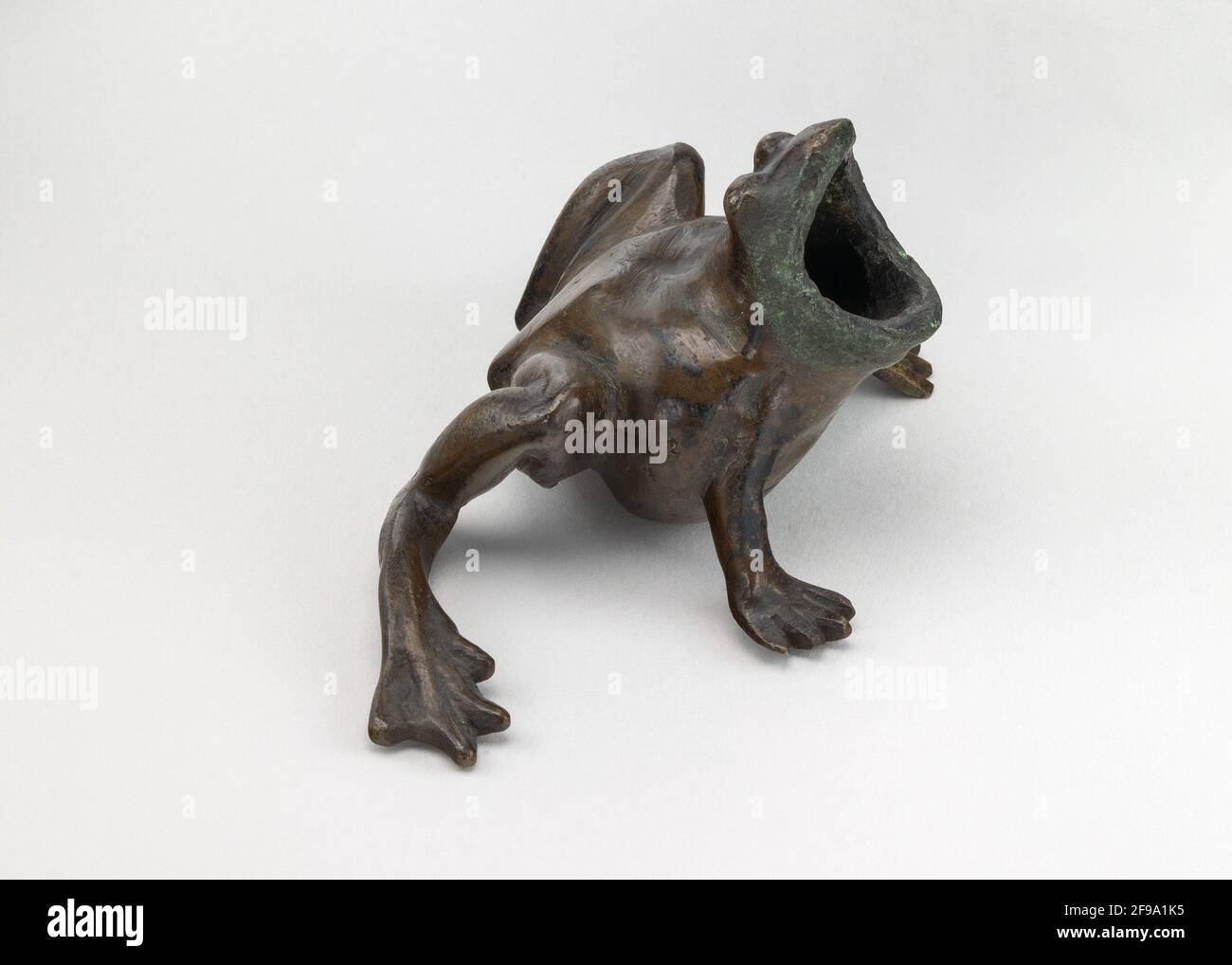 A Frog, early 16th century Stock Photo - Alamy
